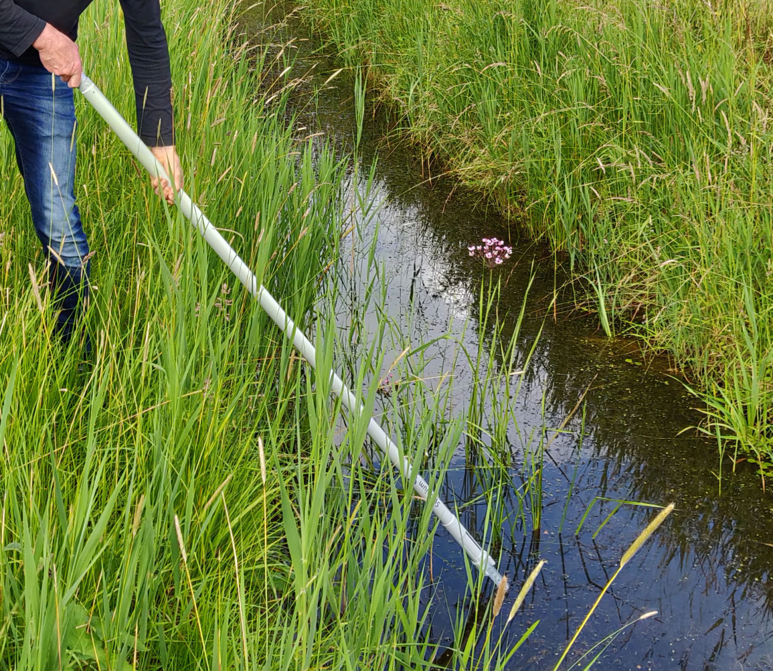 eDNA Sampling Strategy & Field Kits