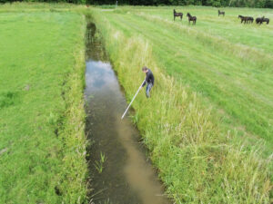 eDNA Sampling Strategy & Field Kits